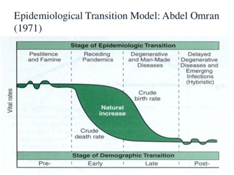 2 A Epidemiological Transition Model Flashcards Quizlet