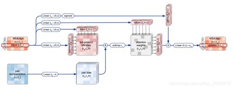 alphafold2代码模块简要分析 msa representation和pair representation csdn博客