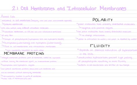 Section 2 Textbook Notes On Topic 2 1 2 1 Cell Membranes And Intracellular Membranes Nimal