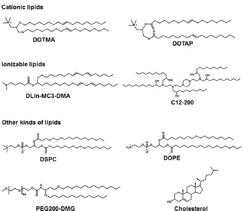 Representative Cationic Lipids Ionizable Lipids And Other Kinds Of Download Scientific