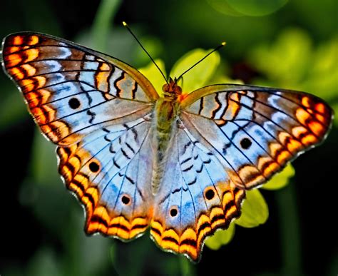 Mastering Transformation