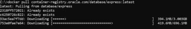 Oracle Database As Docker Container ThinkingAboutData