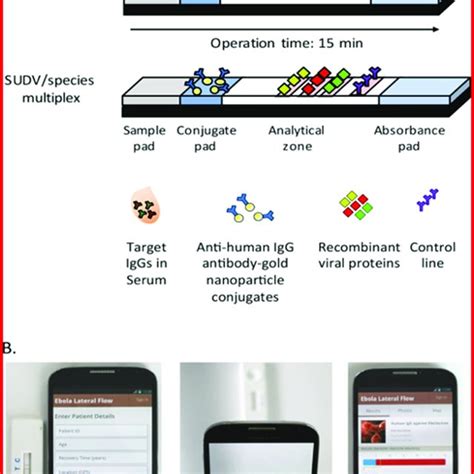 Overview Of Smartphone Based Lateral Flow Poc Test For Detection Of