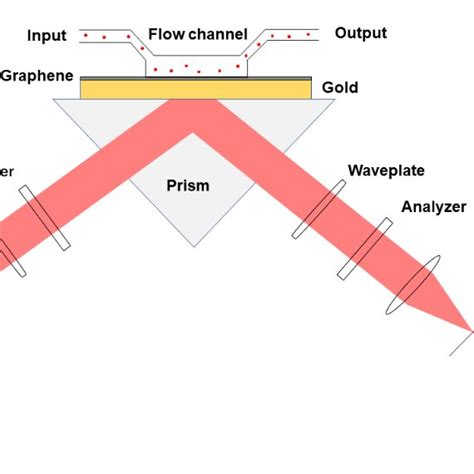 Schematic Of The Surface Plasmon Resonance Spr Polarization Control Download Scientific