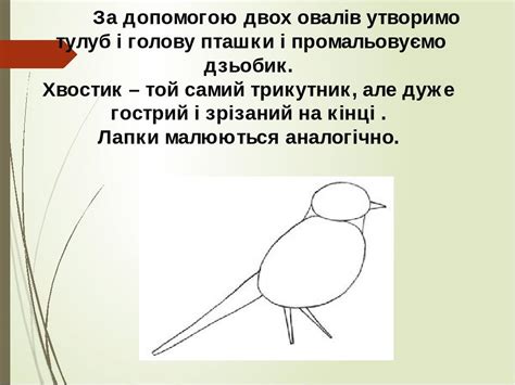 Презентація Як намалювати синичку поетапно Презентація Образотворче мистецтво
