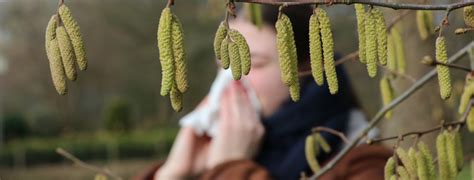 Tree Pollen Season Is Nearly Here Allergy UK National Charity