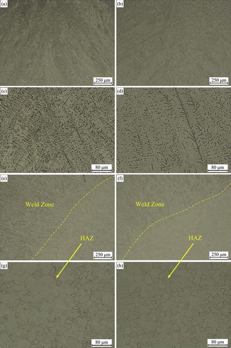Microstructure Of The Hnss Joints A B C D Without Mnn E F