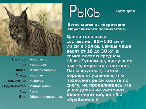 Животные и растения занесенные в Красную книгу Саратовской области обитающие на территории