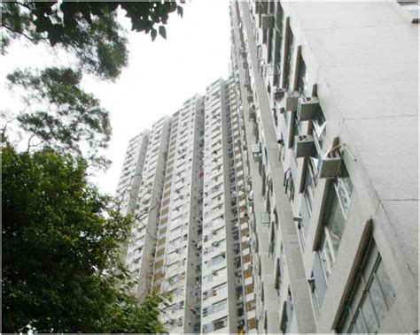 出狱后连环犯案 惯犯瞄准博康邨装修单位偷电钻变卖 星岛日报