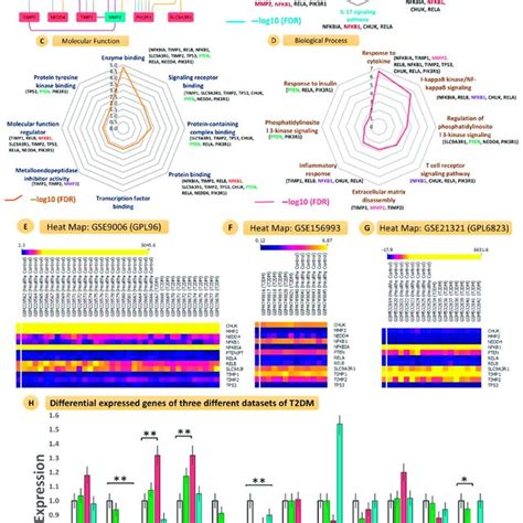 Gene Microrna Interaction Microrna Regulated Pathway Enrichment And