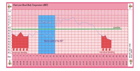 A Biphasic Pattern Of The Bbt During A Normal Menstrual Cycle The Download Scientific Diagram