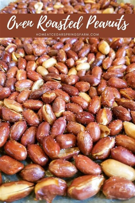 Oven Roasted Peanuts 3 Ingredients Home At Cedar Springs Farm