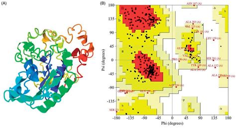 Tertiary Structure Prediction And Validation Of Vaccine Construct