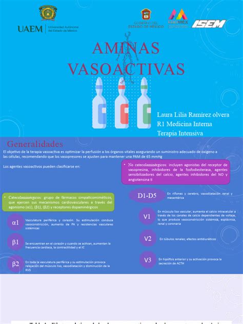 Ucia Aminas Vasoactivas Pdf Norepinefrina Angiotensina