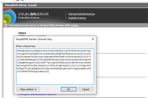 Visualsvn 报错 Visualsvn Server License Expiredvisualsvn Server License