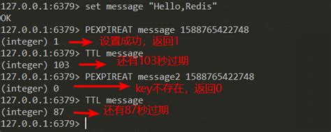 Redis系列 六 ：设置 移除键的过期时间
