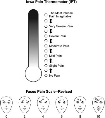 Pain Assessment Strategies In Older Patients The Journal Of Pain