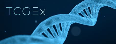 tcgexplorer