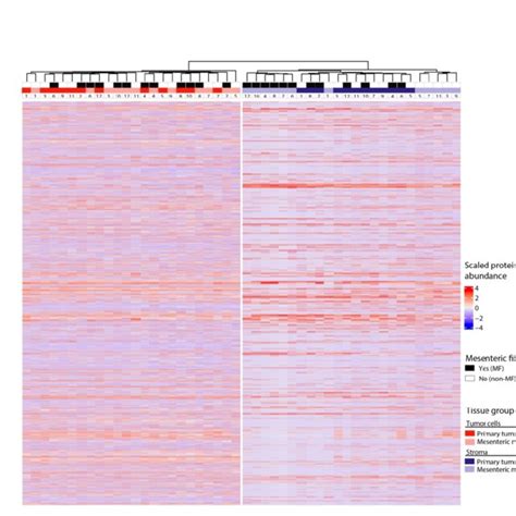 clustering analysis of proteomics data heatmap showing unsupervised