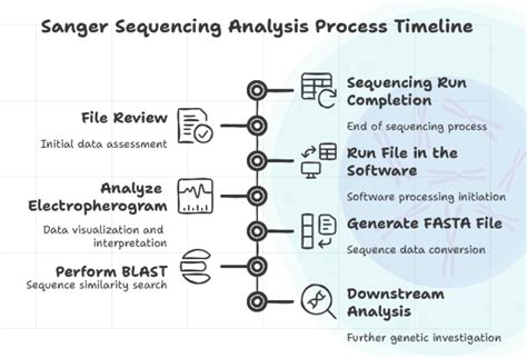 A Beginners Guide To Sanger Sequencing Results [before Electropherogram Analysis] Genetic