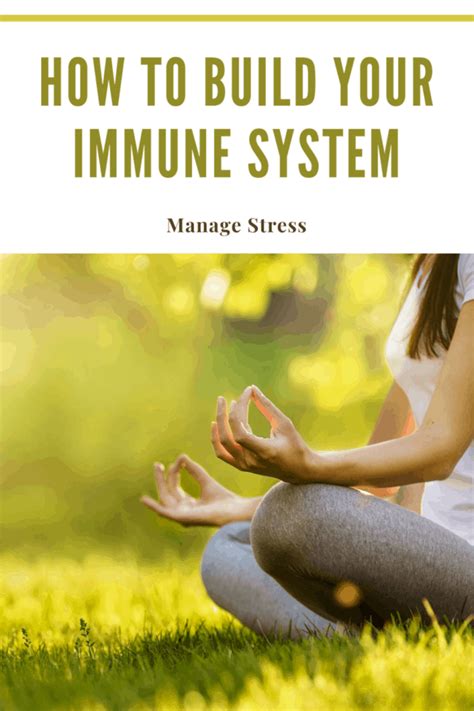 How To Build Your Immune System For Better Health Mom S Memo