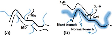 Figure 1 From Time Marching Algorithm For Predicting The Linear Rheology Of Monodisperse Comb