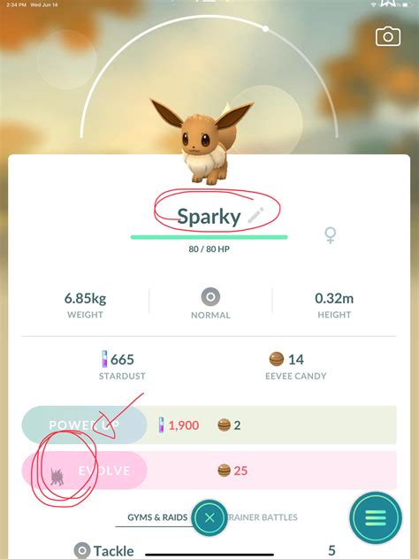 How To Get A Jolteon In Pokemon Go By Sophifurry On Deviantart