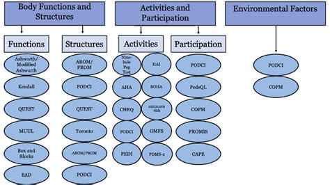 Classification Of Cp Outcome Measures By Icf Domain Download Scientific Diagram