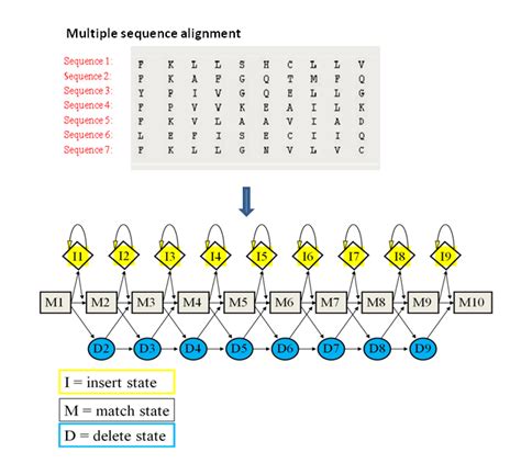 What Are Hmms Protein Classification