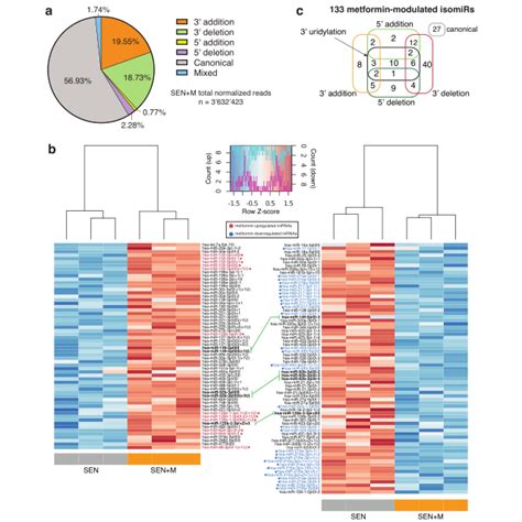 Isomir Analysis Of Senescent Huvecs Treated With Metformin A Pie Download Scientific Diagram
