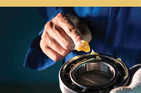 How To Kill A Bearing Over Greasing Jax Inc