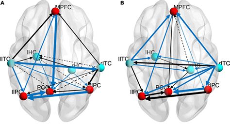 Effective Connectivity Models Of Dmn During The Resting State A And Download Scientific