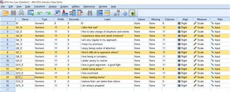 Recode Into Different Variable Tpoint Tech