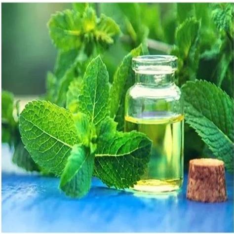 Peppermint Oil At Rs 2840kg Pure Natural Peppermint Oil In Ahmedabad