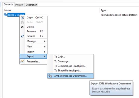 Cómo exportar importar una geodatabase en XML MappingGIS