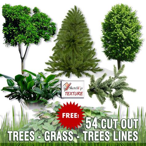 SKETCHUP TEXTURE CUT OUT TREES