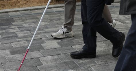흰 지팡이의 날 아시나요서울 시각장애인 재활 복지대회