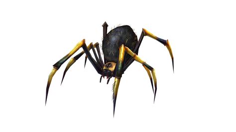 Animated Spider 3d Model Turbosquid 2152925