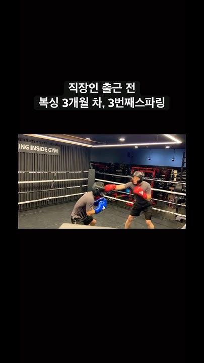 훈수 환영🔥 파란색 글러브 Boxing 복싱 Youtube