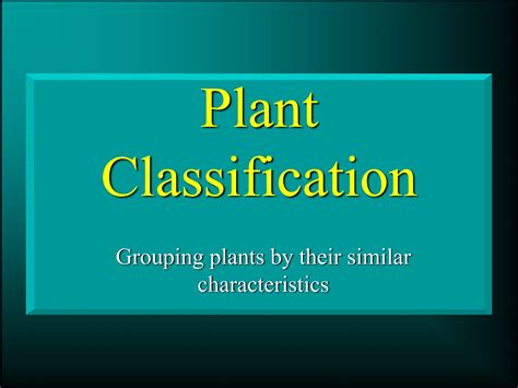 Plant Classificationpdf Gardening Home And Garden Plant Classificationpdf Gardening Home And Garden