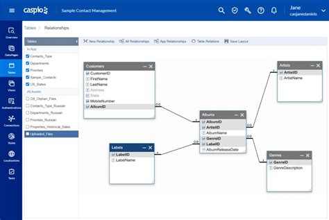 overcoming the limitations of excel for data management caspio