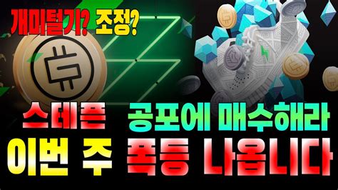 스테픈 시장을 역행하는 종목 몰리는 매수세 다 이유가 있습니다 오늘 개미털기 할 때 사셔야 합니다 스테픈코인 스테픈전망 스테픈코인전망 스테픈목표가