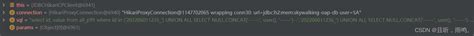 【cve 2020 9483】apache Skywalking 存在的sql注入漏洞复现 Csdn博客