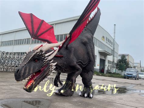 Realistic Dragon Costumes For Halloween Only Dinosaurs