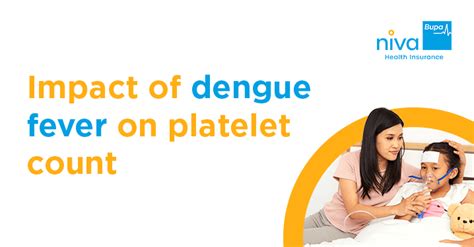 Dengue Fever On Platelet Count All You Need To Know