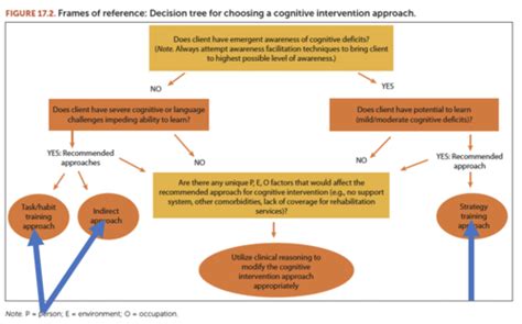 Functional Cognition Final Flashcards Quizlet
