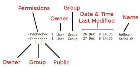 Brian Ogada On Linkedin Shellpermissions Learninpublic