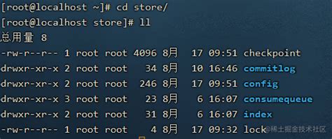 Advanced Rocketmq Principle Of Message Storage Moment For Technology