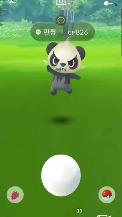 포고 [폿켓몬 Go] Youtube