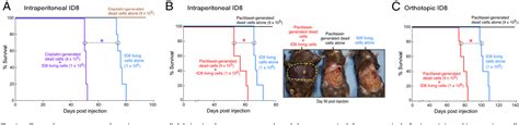 Figure 1 From Suppression Of Chemotherapy Induced Cytokine Lipid Mediator Surge And Ovarian